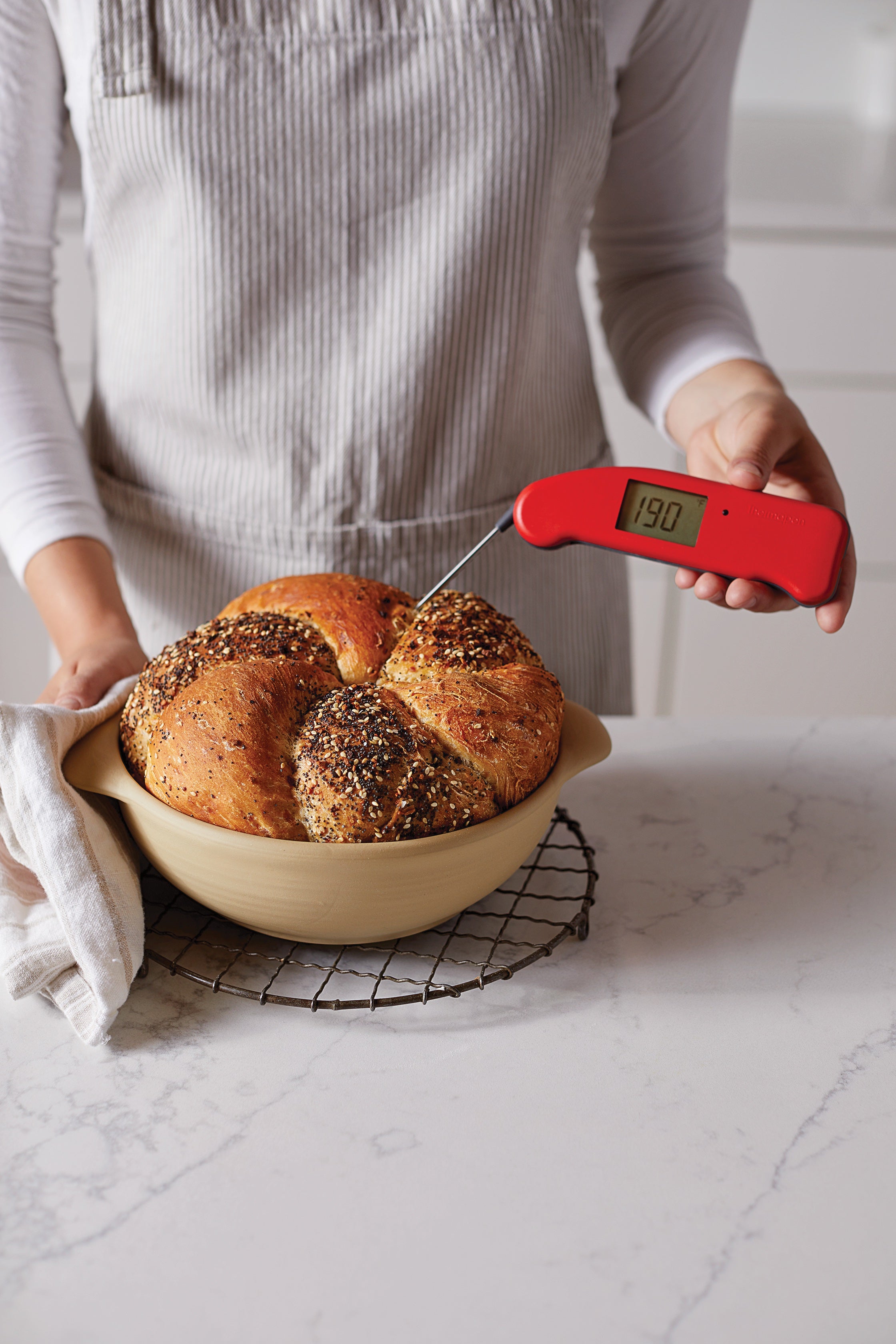 This thermometer unlocks better, more accurate baking | King Arthur Baking